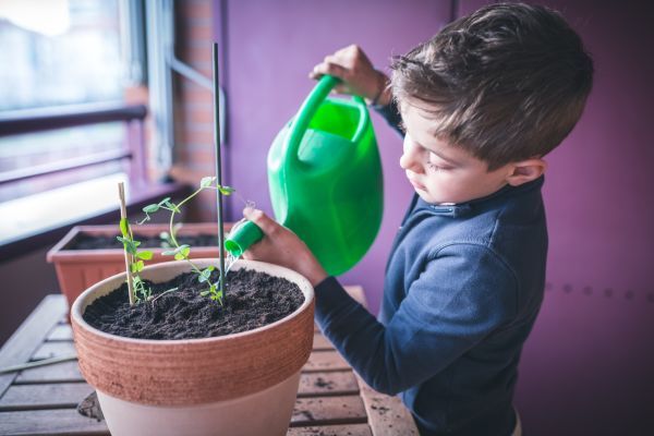 Column: Wat je aandacht geeft groeit - Kern Gezond Texel